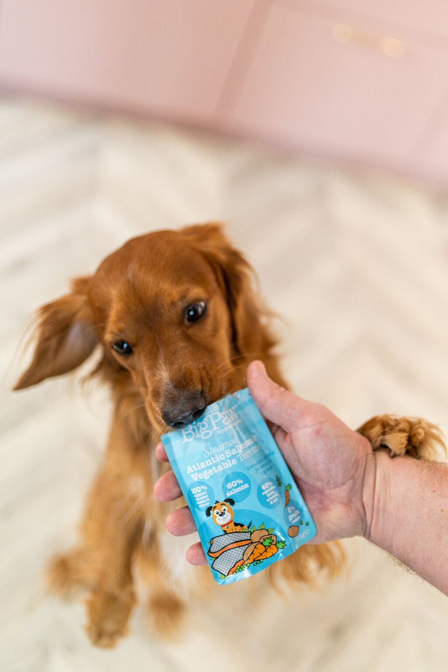 Little BigPaw | British Made, All-Natural Pet Food