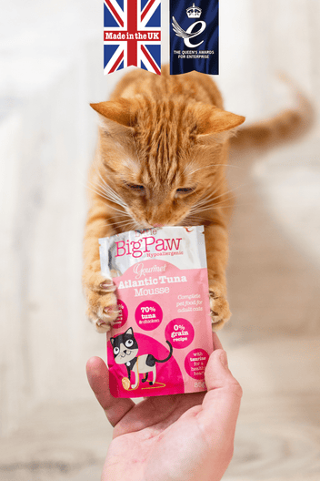 Little BigPaw | British Made, All-Natural Pet Food