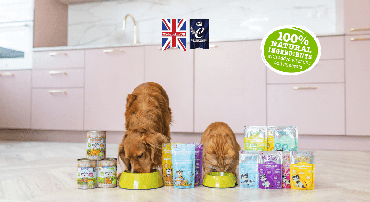 Little BigPaw | British Made, All-Natural Pet Food