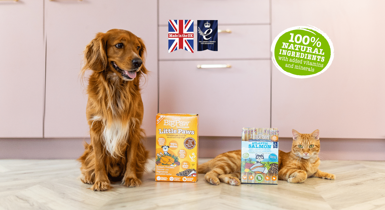 Little BigPaw | British Made, All-Natural Pet Food