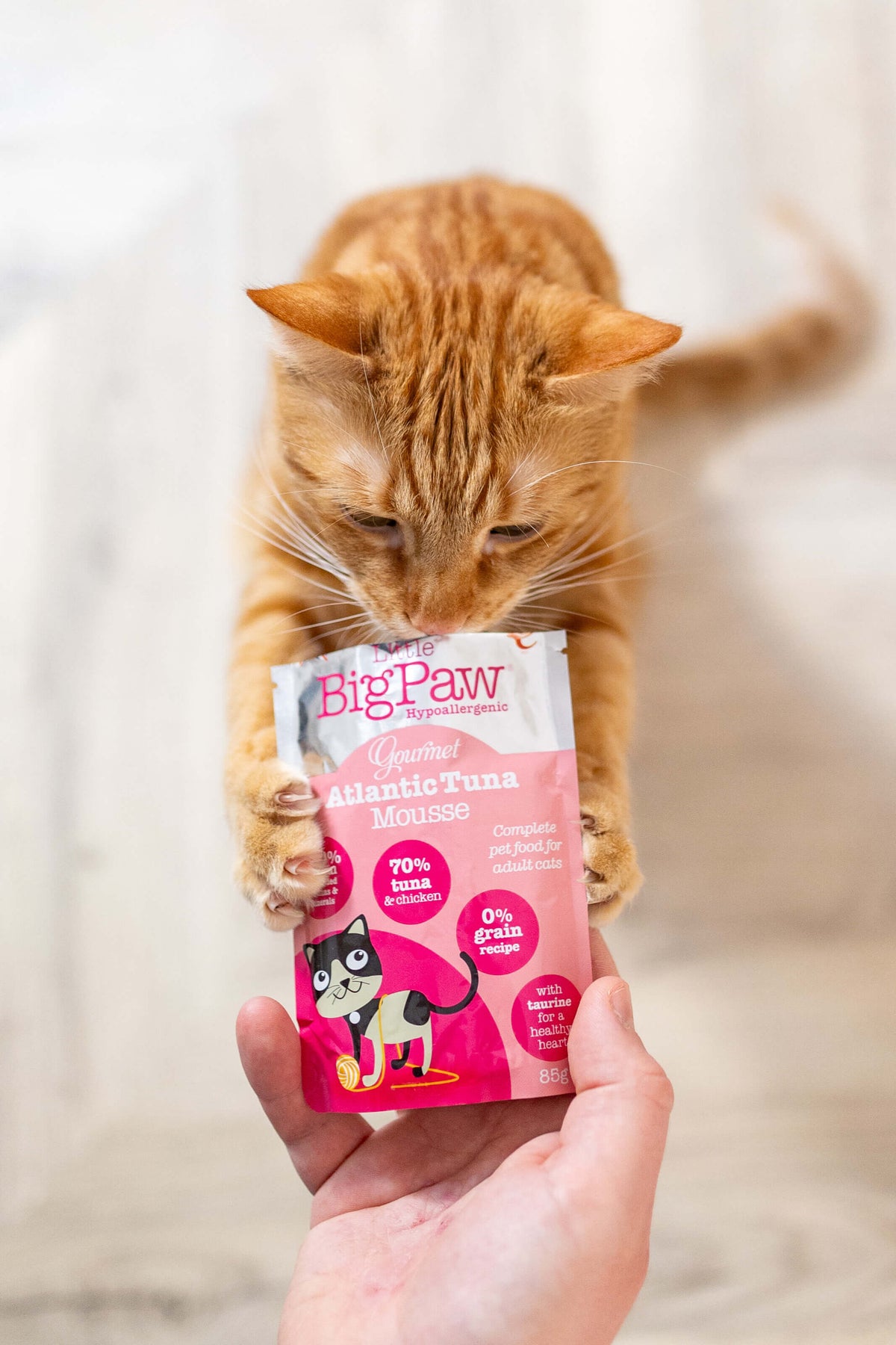 Little BigPaw | British Made, All-Natural Pet Food