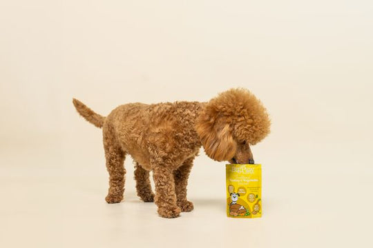 Little BigPaw | British Made, All-Natural Pet Food